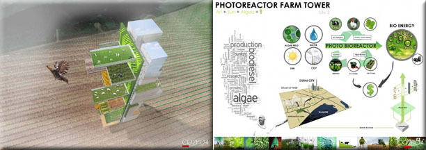 International Algae Competition